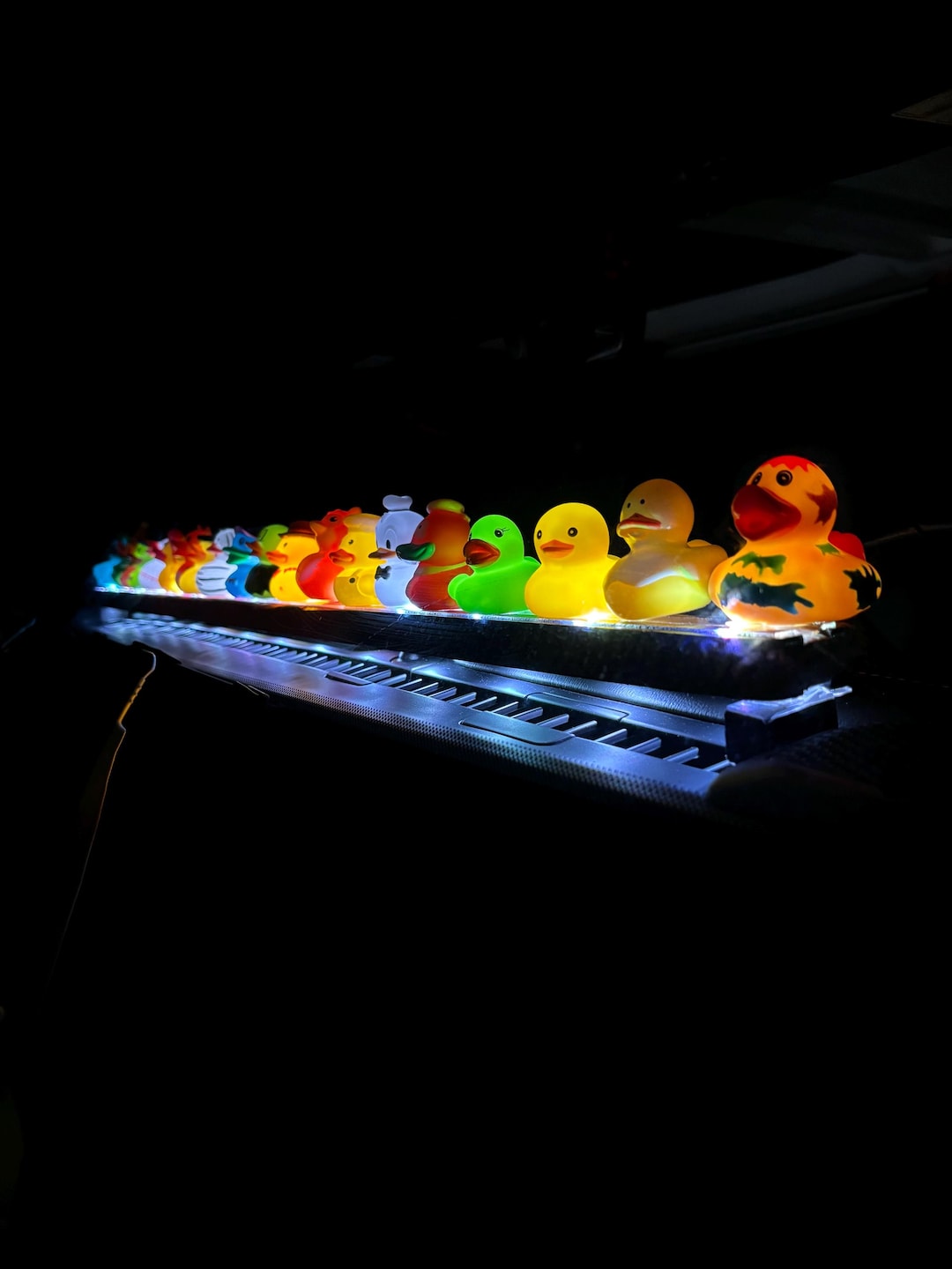 Duckwood LED Dual Lights Bar , the Original LED Duck Bar - Etsy