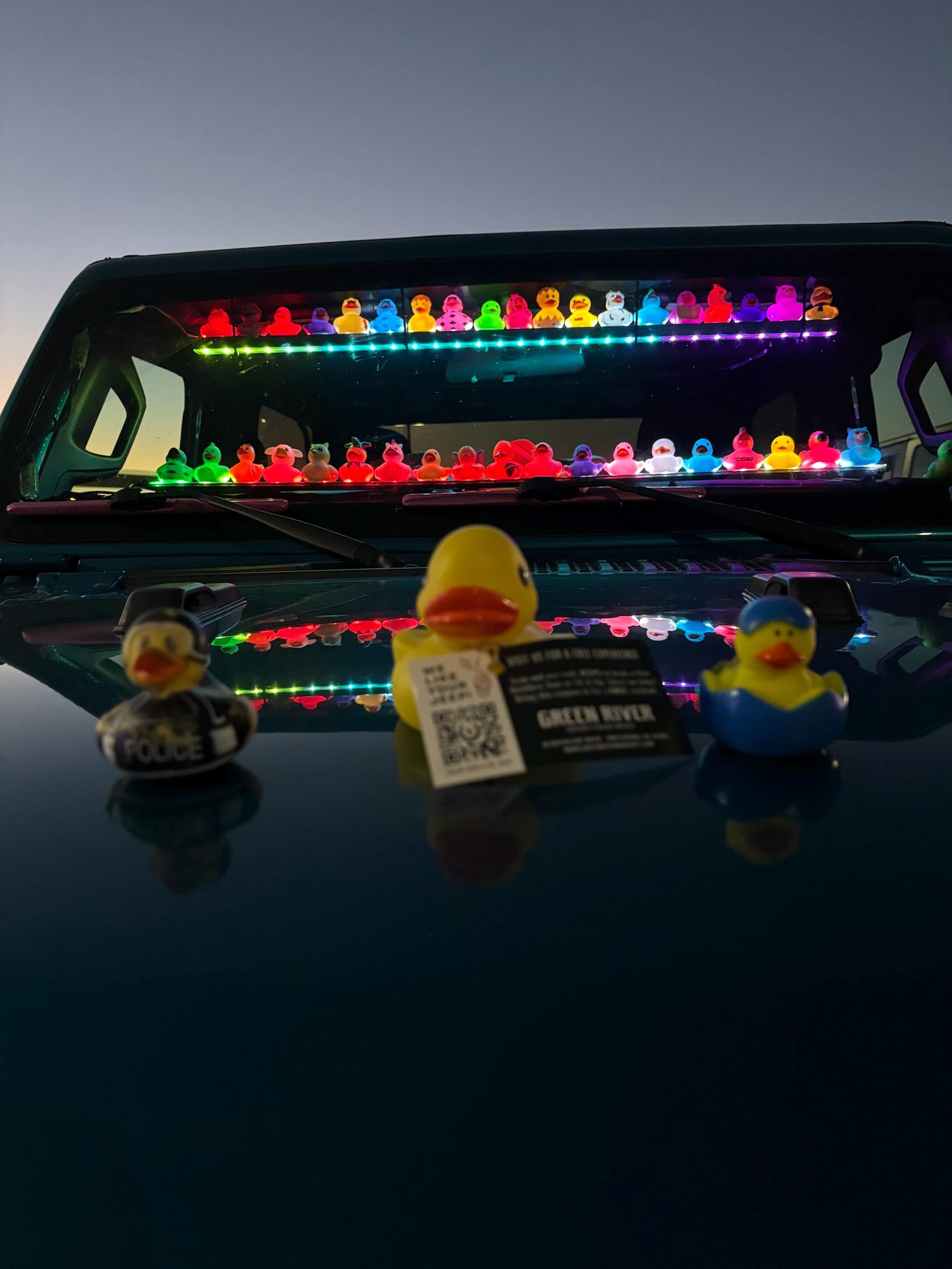 Duckwood Dual LED Duck Display Bar: 210 Color Options - Etsy