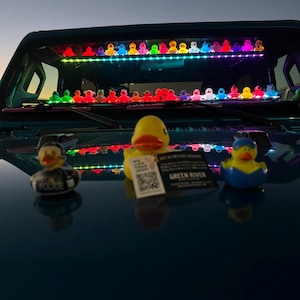 Duckwood Dual LED Duck Display Bar: 210 Color Options - Etsy