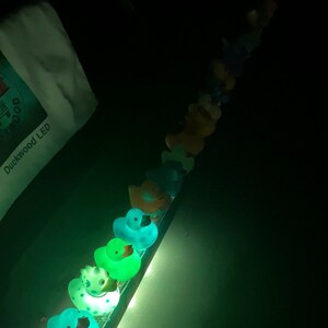 Duckwood LED Dual Lights Bar , the Original LED Duck Bar - Etsy