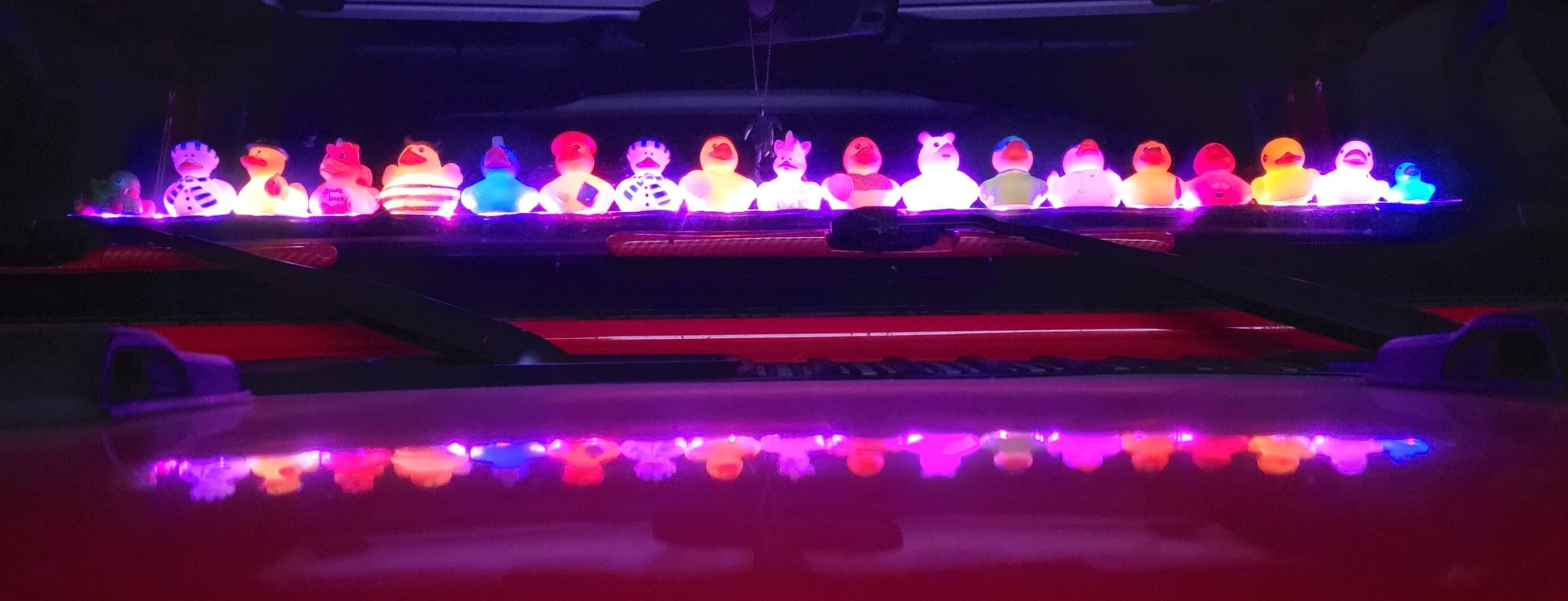 Jr Duckwood LED , the Original LED Duck Light Bar - Etsy
