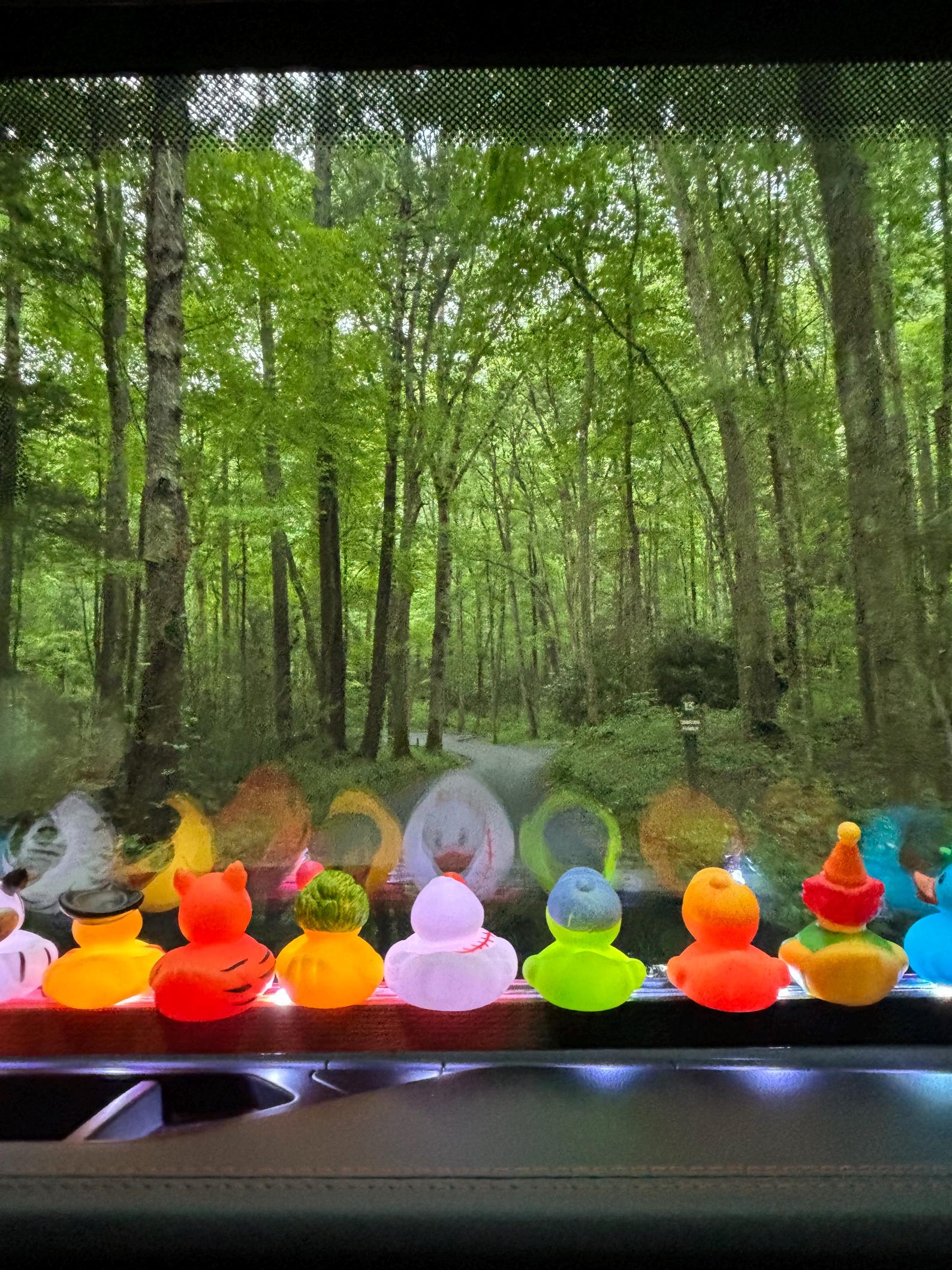 Duckwood Dual LED Duck Display Bar: 210 Color Options - Etsy