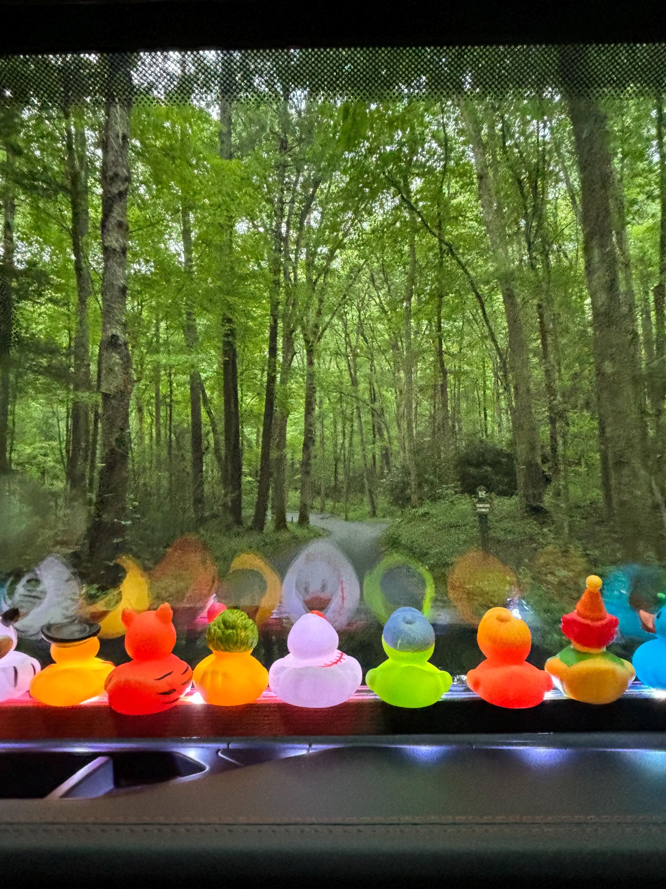 Duckwood Dual LED Duck Display Bar: 210 Color Options - Etsy