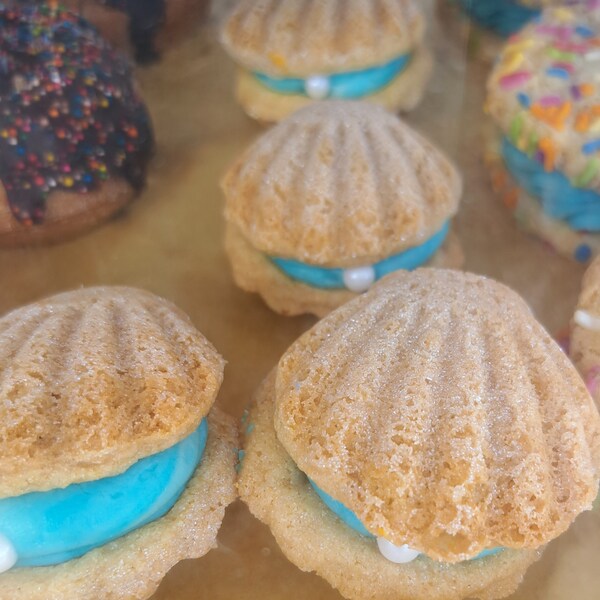 Seashell Cookies - Etsy