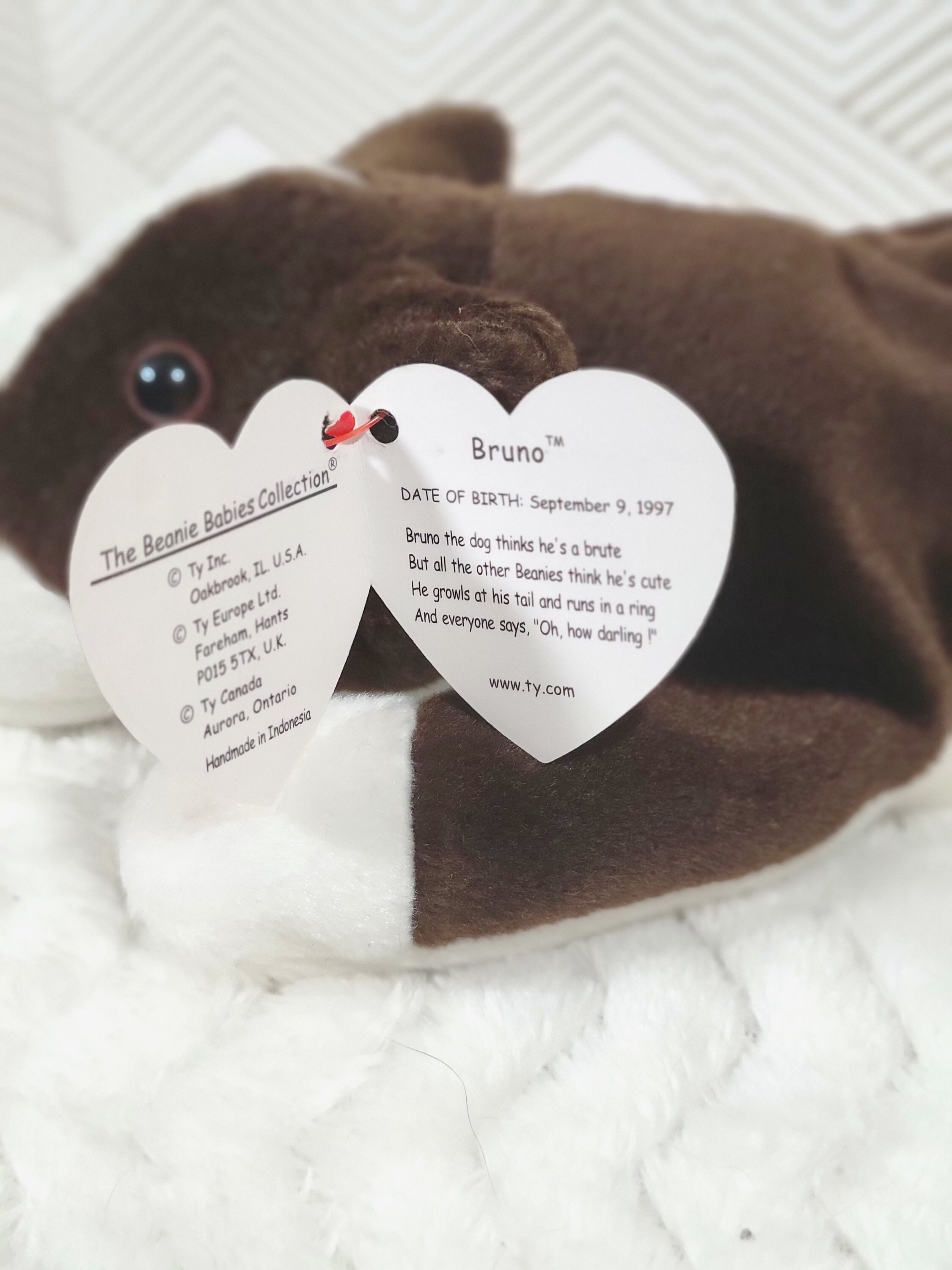Bruno the Dog Beanie Baby - Etsy