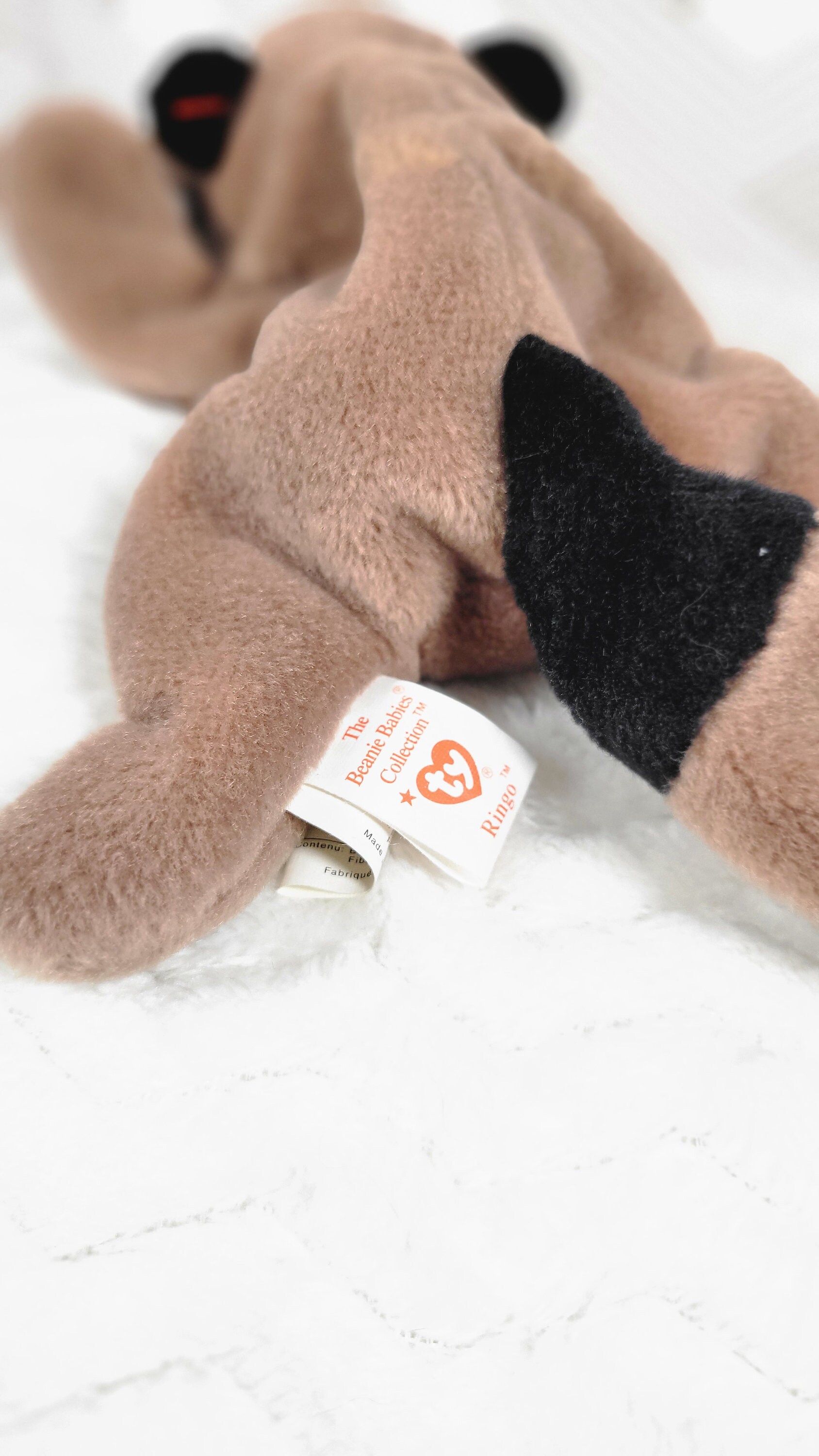 Ringo the Raccoon Beanie Baby - Etsy