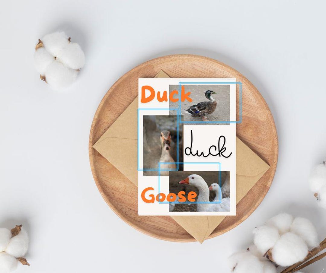Duck Goose Note Card Photo Farm Photo Card Greeting Card Animal Note ...