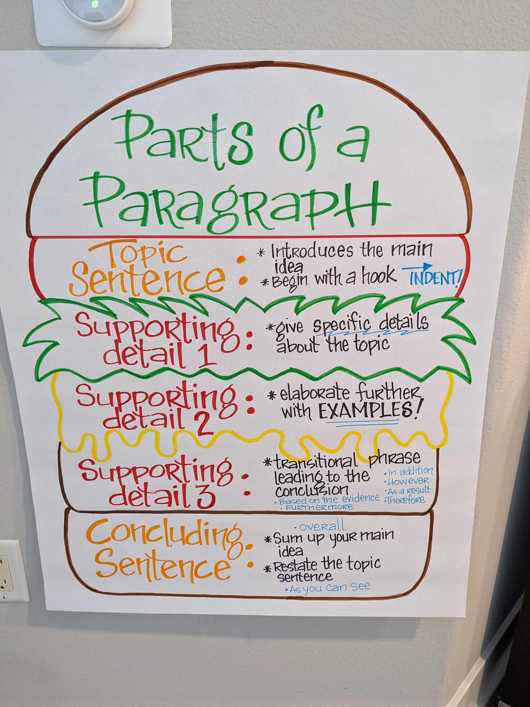 LAMINATED Parts of a Paragraph Anchor Chart - Etsy