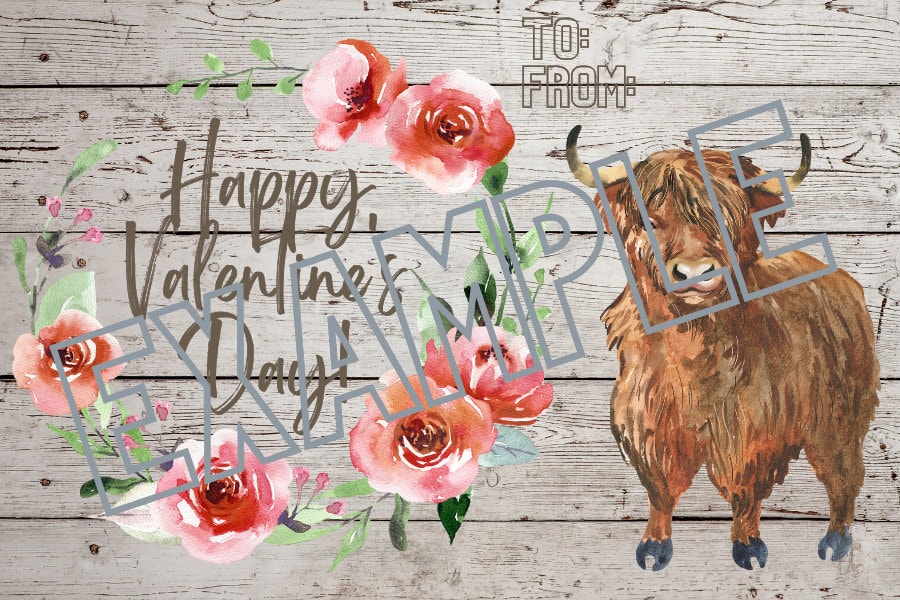 Highland Cow Valentine Cards, Printable Valentine Cards, Printable ...