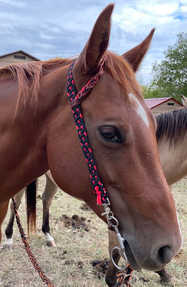 Paracord and Leather One Ear Horse Bridle - Etsy