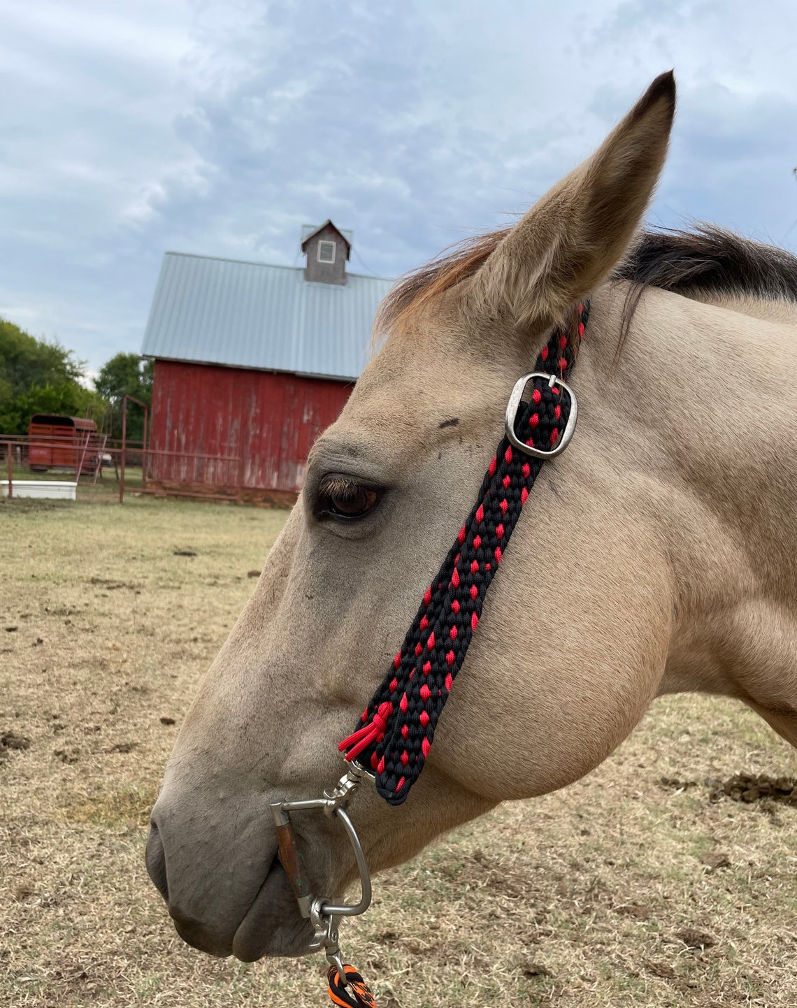 Paracord and Leather One Ear Horse Bridle - Etsy