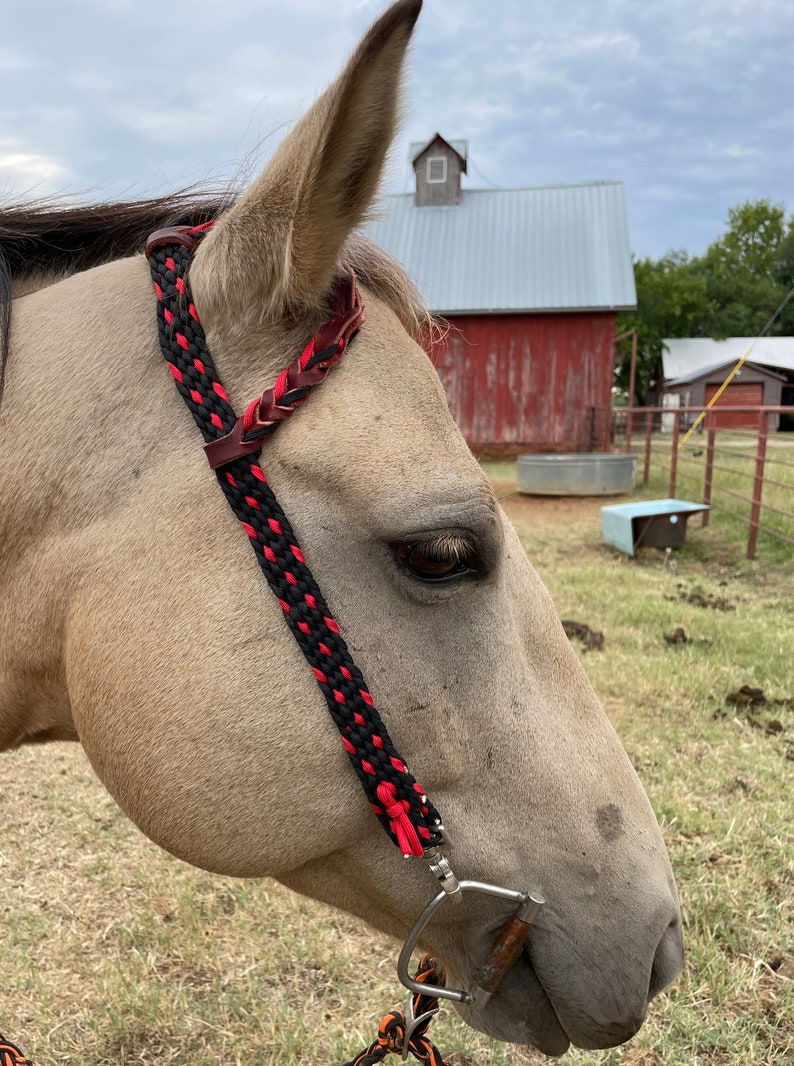Paracord and Leather One Ear Horse Bridle - Etsy