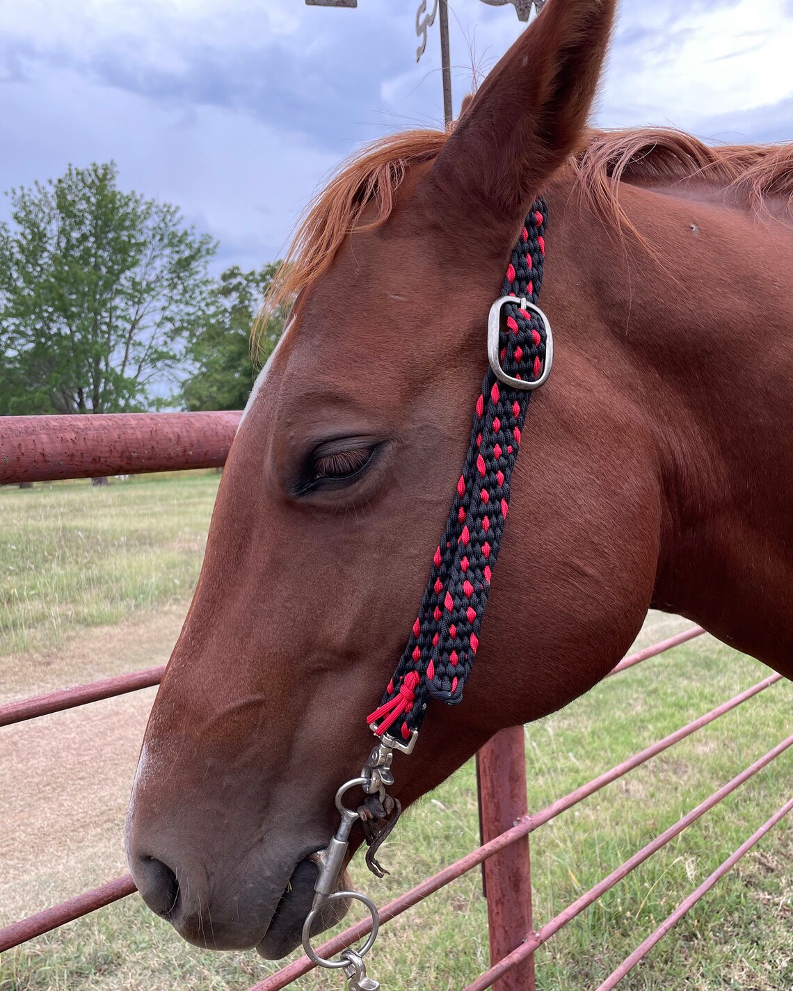 Paracord and Leather One Ear Horse Bridle - Etsy