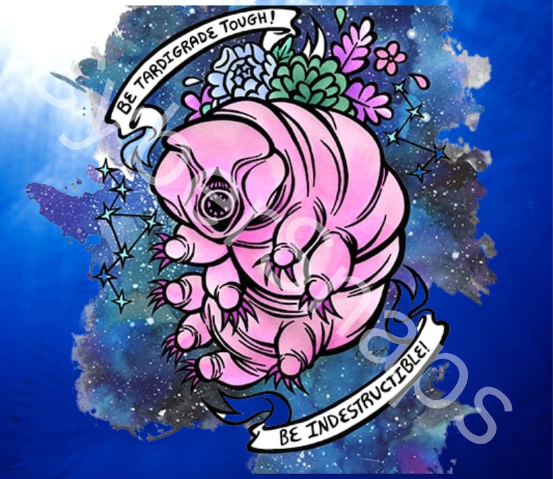 Tardigrade PNG | Waterbear Sublimation Design for Tumblers ...