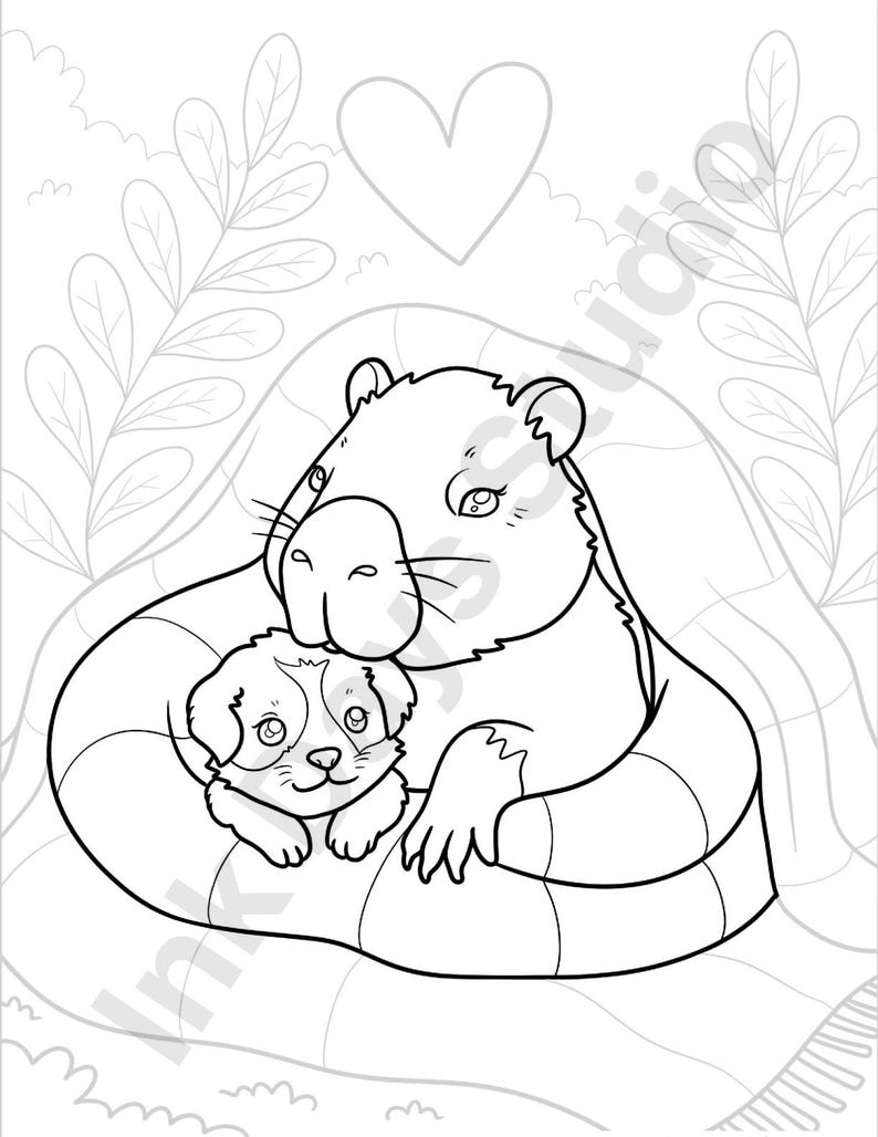 20 Capybara Trace/coloring Pages - Adult Coloring/tracing Pages ...