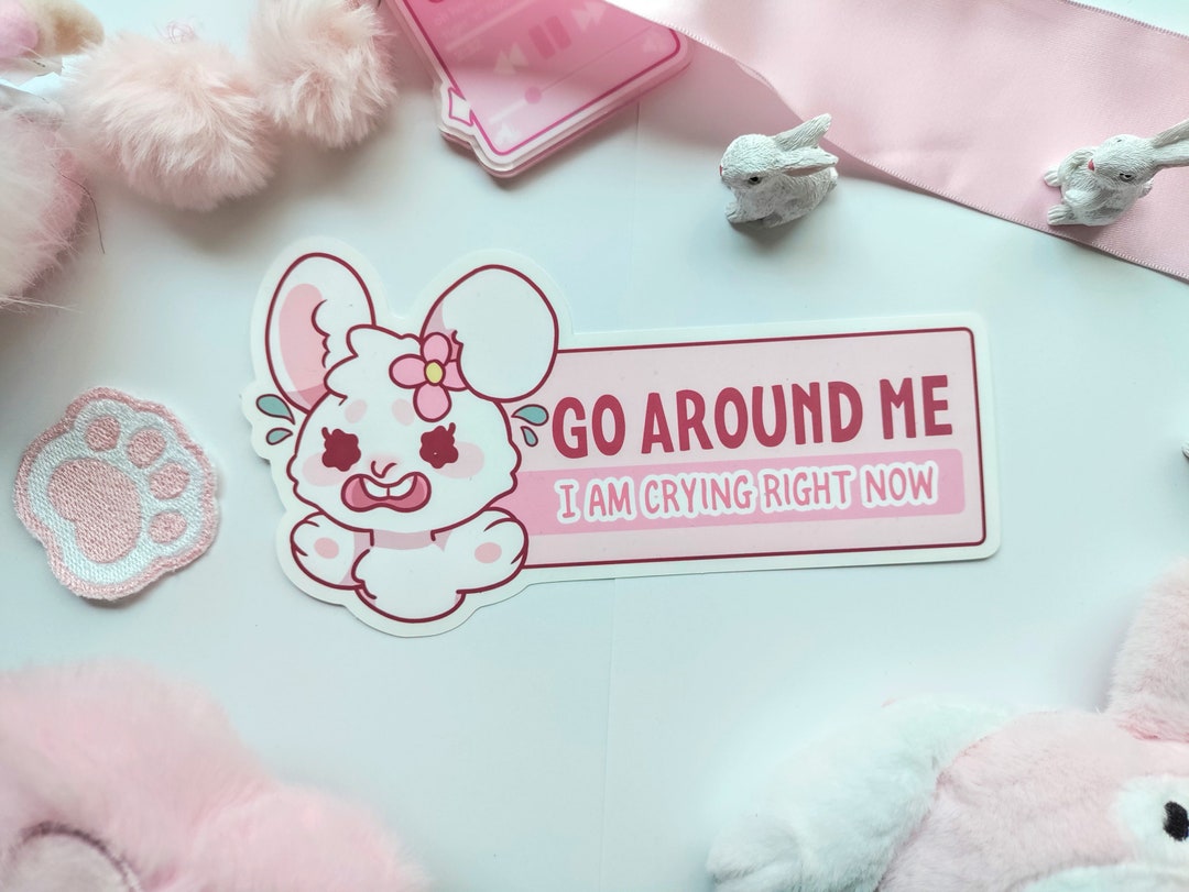 Matte Sticker Bunny Rabbit Bumper Sticker Go Around Me - Etsy