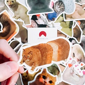 10 Random Cat Memes Funny Meme Sticker Bomb Pack! Waterproof Reusable ...