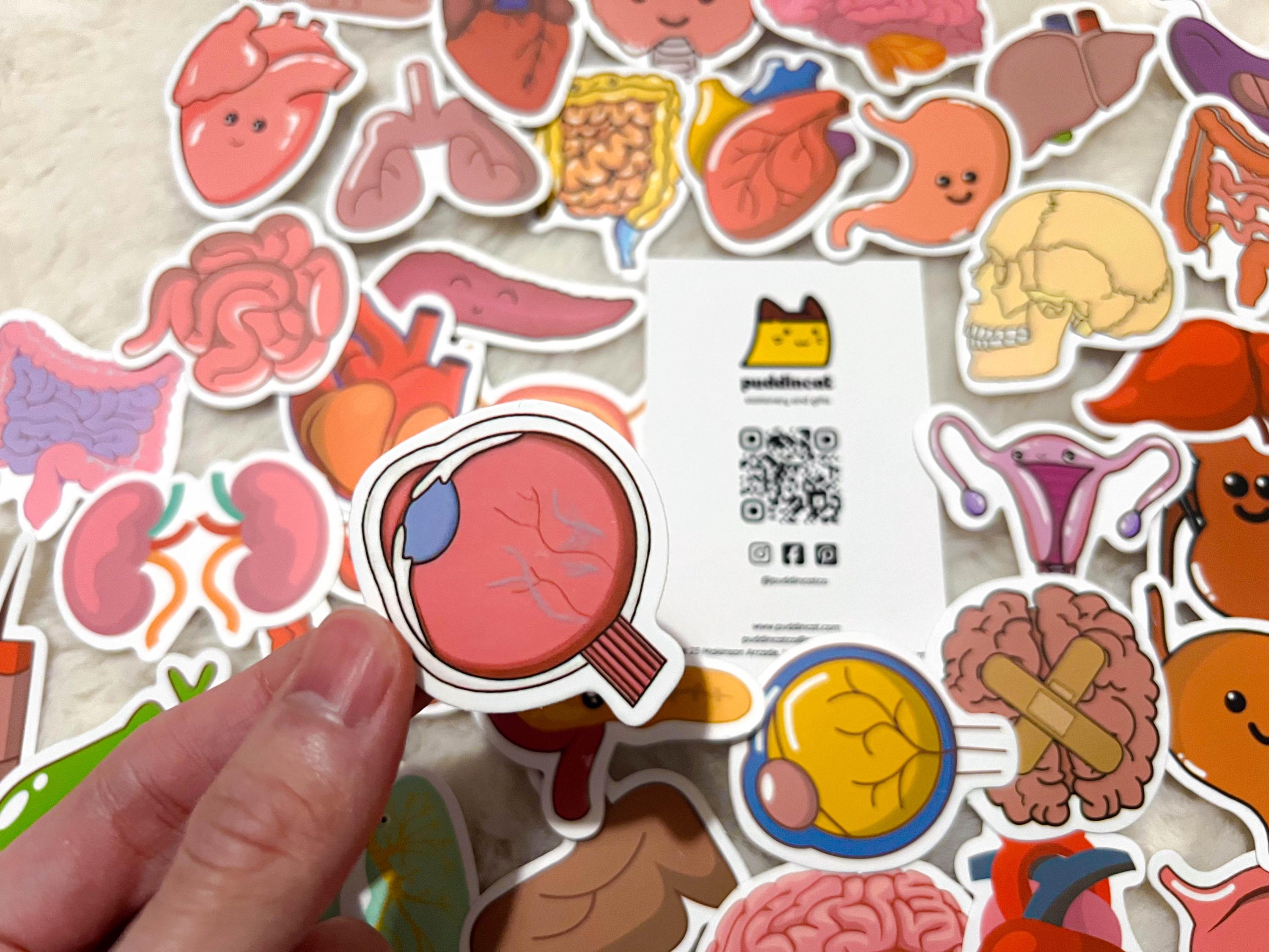 Cute Symphony Human Body Organs Bone Anatomy Sticker Set Educational ...