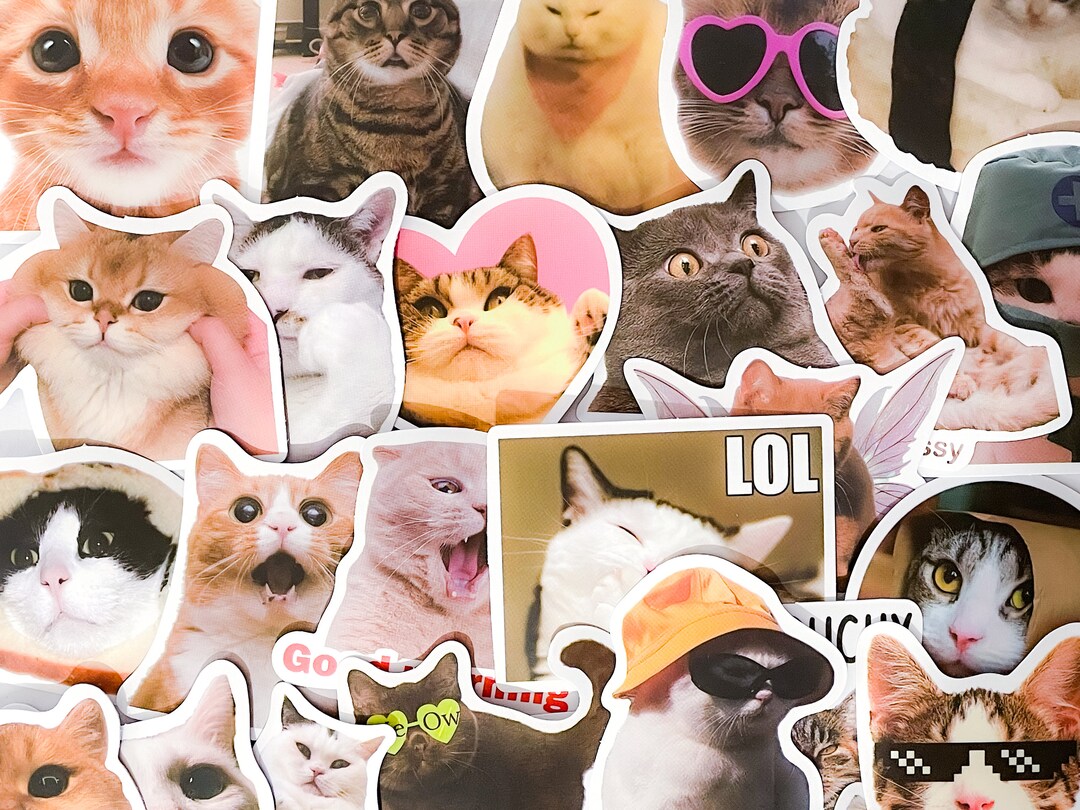 10 Cat Memes Sticker Set - Etsy
