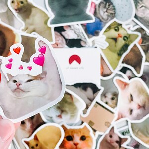 Funny Cat Meme Sticker Pack, Waterproof Vinyl Stickers (10-piece) - Etsy UK