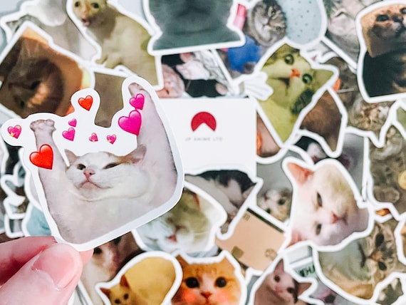 Goede Kattenmeme Rambling Goat Huh Cat Meme Sleutelhanger Verward Cat
