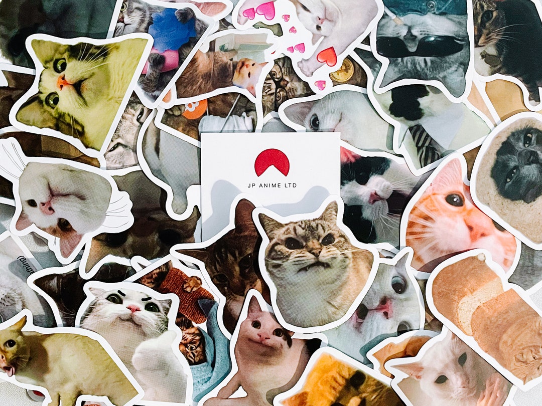 10 Random Cat Memes Funny Meme Sticker Bomb Pack! Waterproof Reusable ...