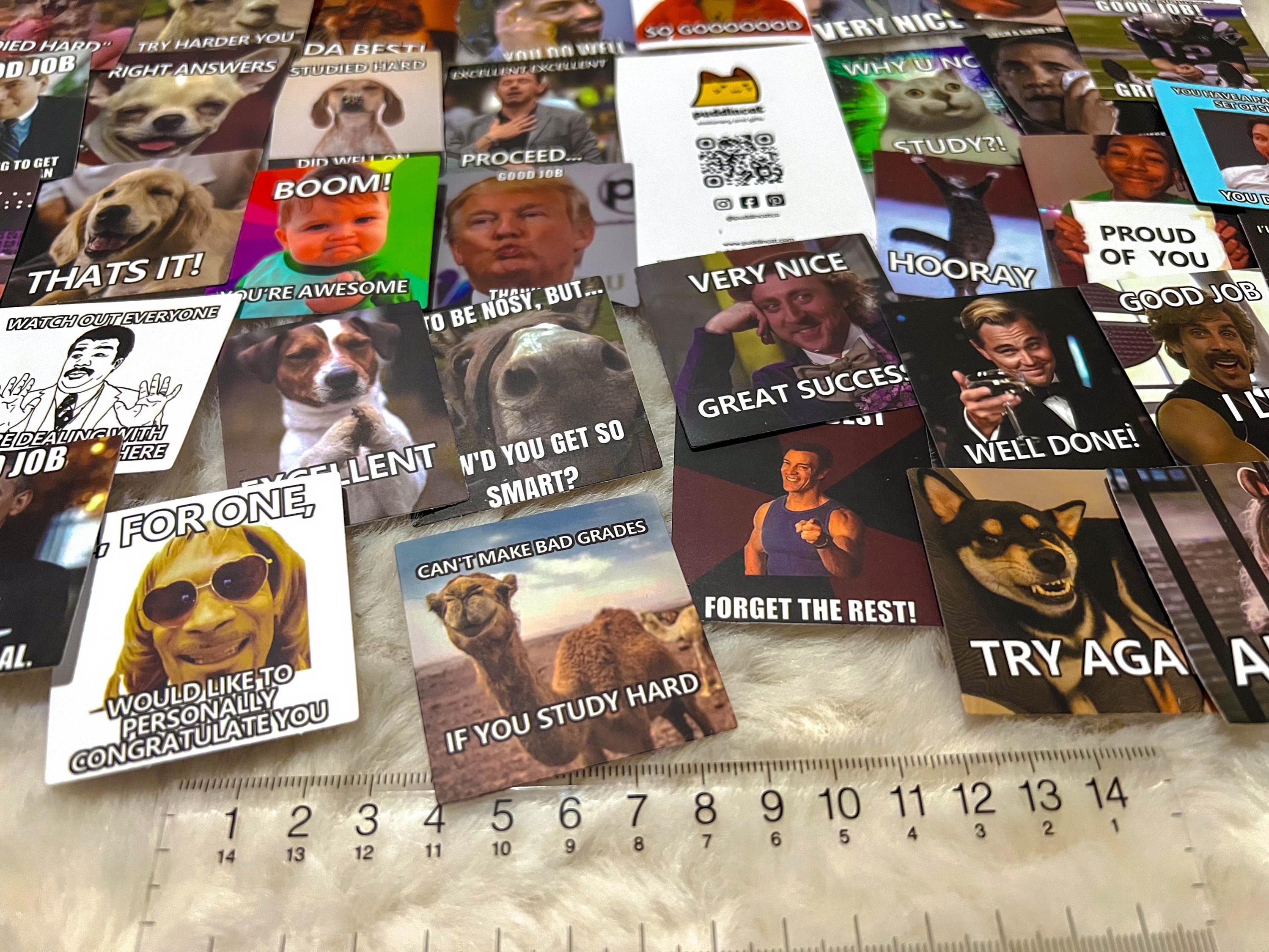 10 Random Meme Sticker Pack! Teachers, Students, Marks, School Reward ...