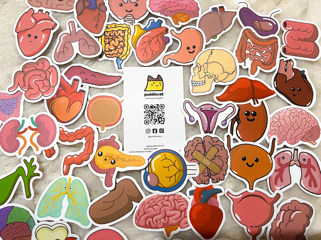 Cute Symphony Human Body Organs Bone Anatomy Sticker Set Educational ...