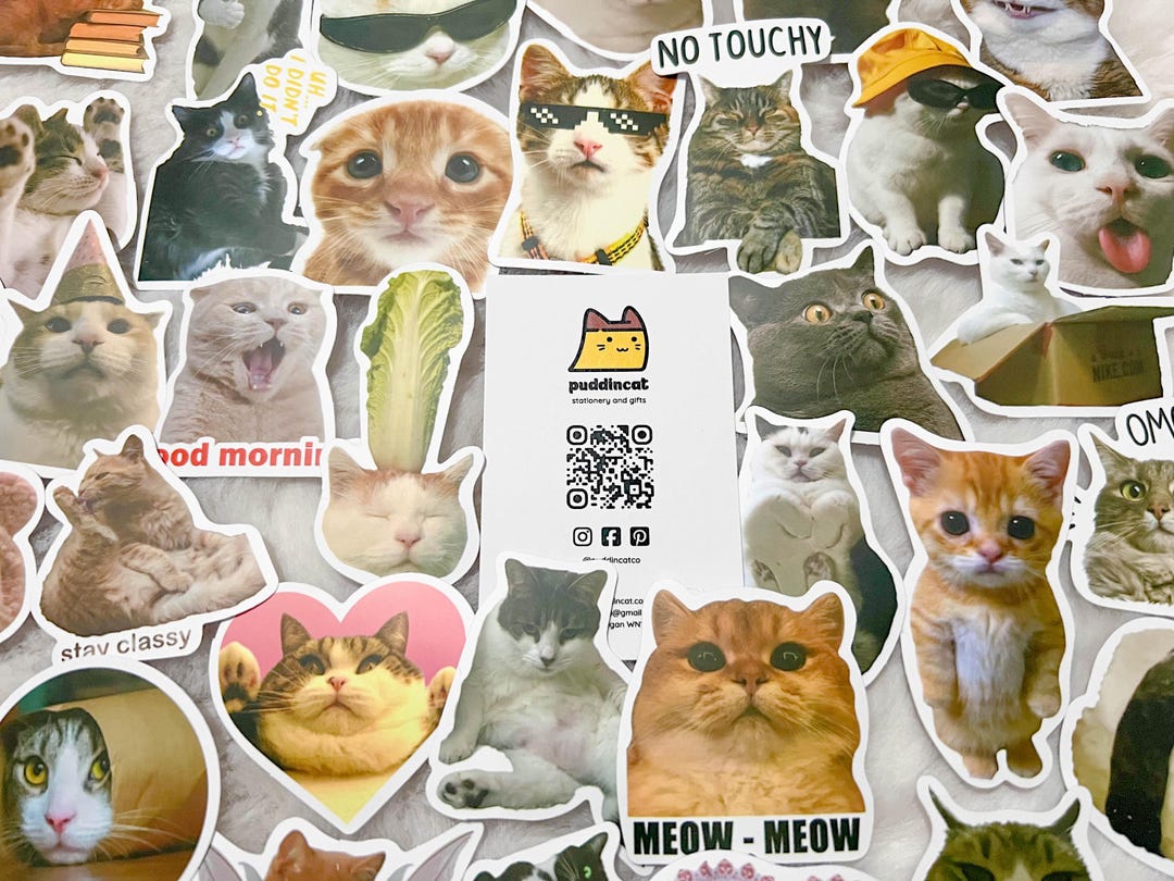 10 NEW Random Cat Memes Funny Meme Sticker Bomb Pack! Waterproof ...