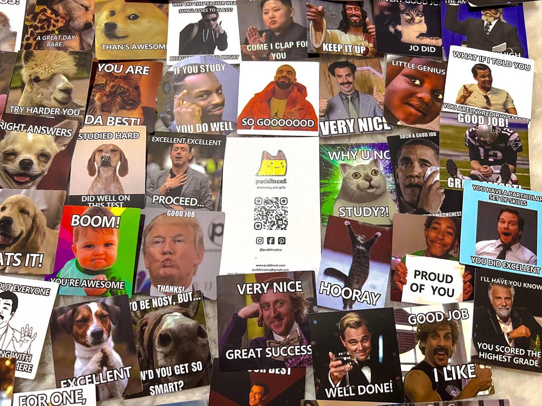 10 Random Meme Sticker Pack! Teachers, Students, Marks, School Reward ...