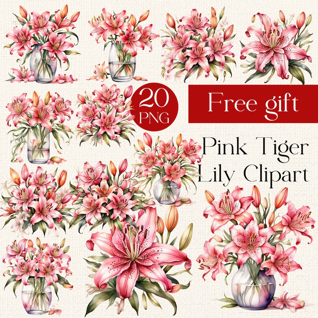 22 Pink Tiger Lillies Clipart, Tiger Lily PNG, Watercolor Floral ...