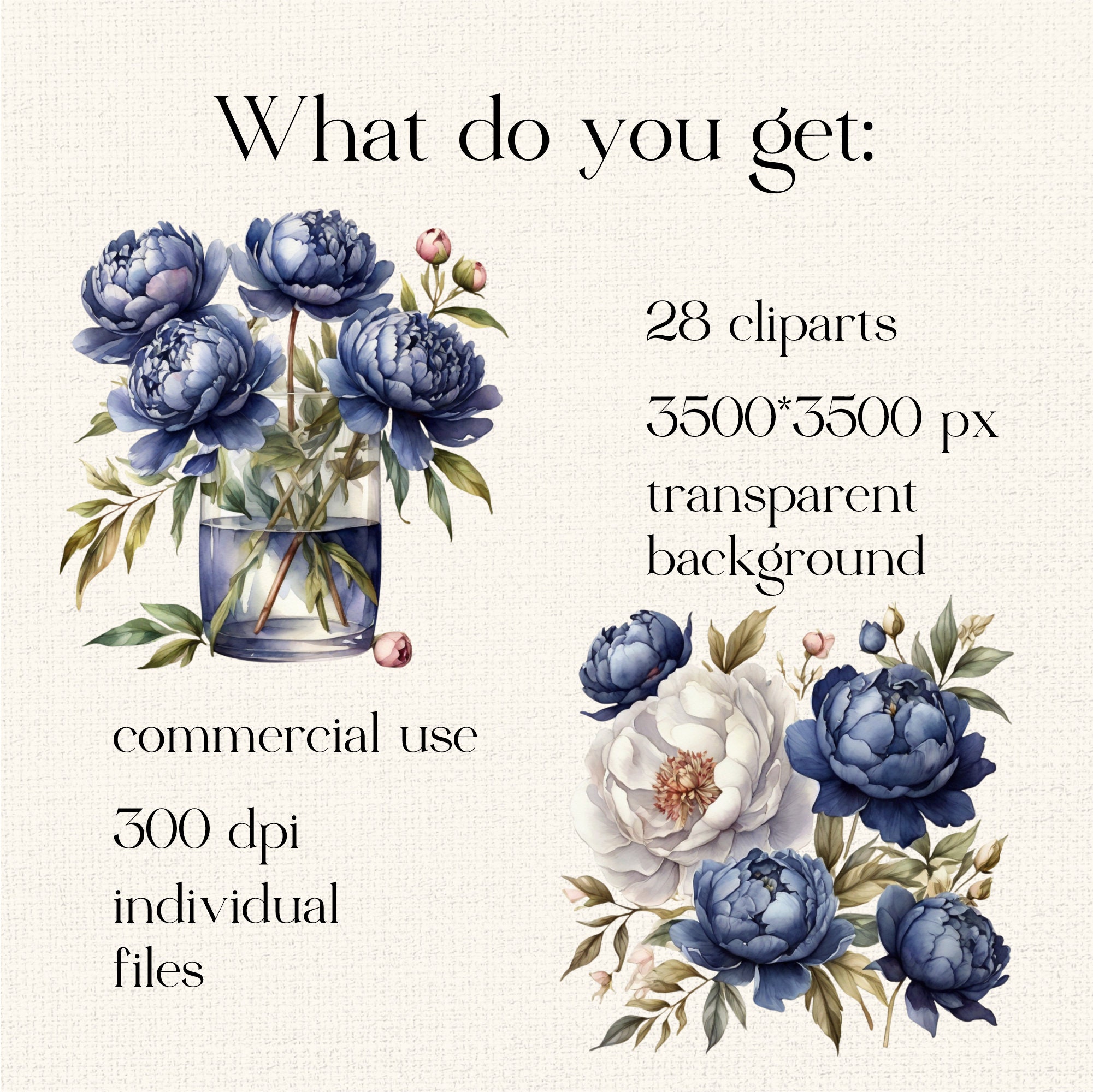 28 Blue Peonies Watercolor Clipart, Peonies Bouquet PNG, Watercolor ...