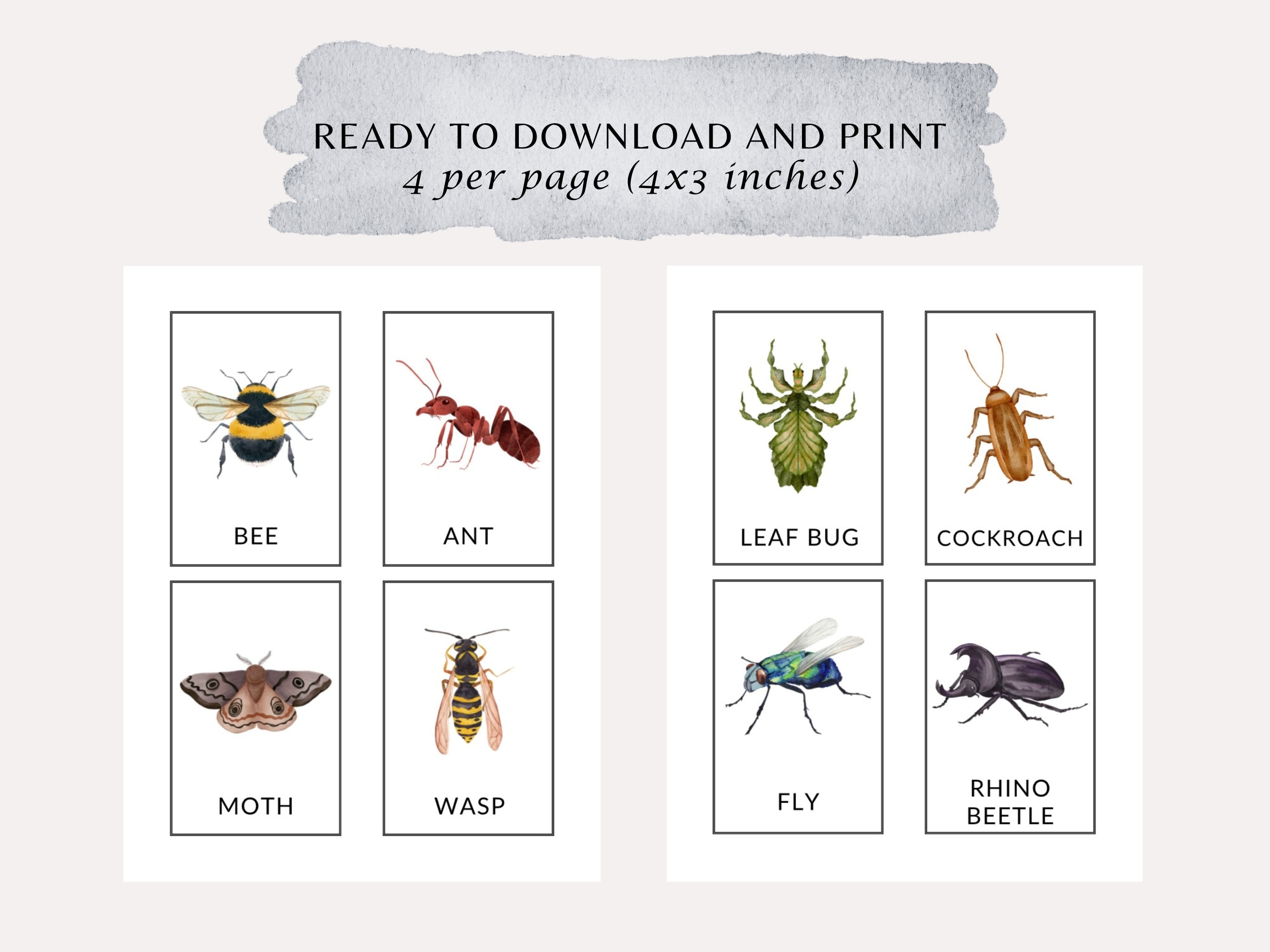 Insects Flash Cards Printable Educational Cards Montessori - Etsy