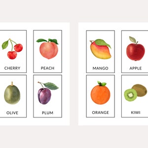 Fruit Flash Cards | Printable Educational Cards | DIGITAL DOWNLOAD - Etsy