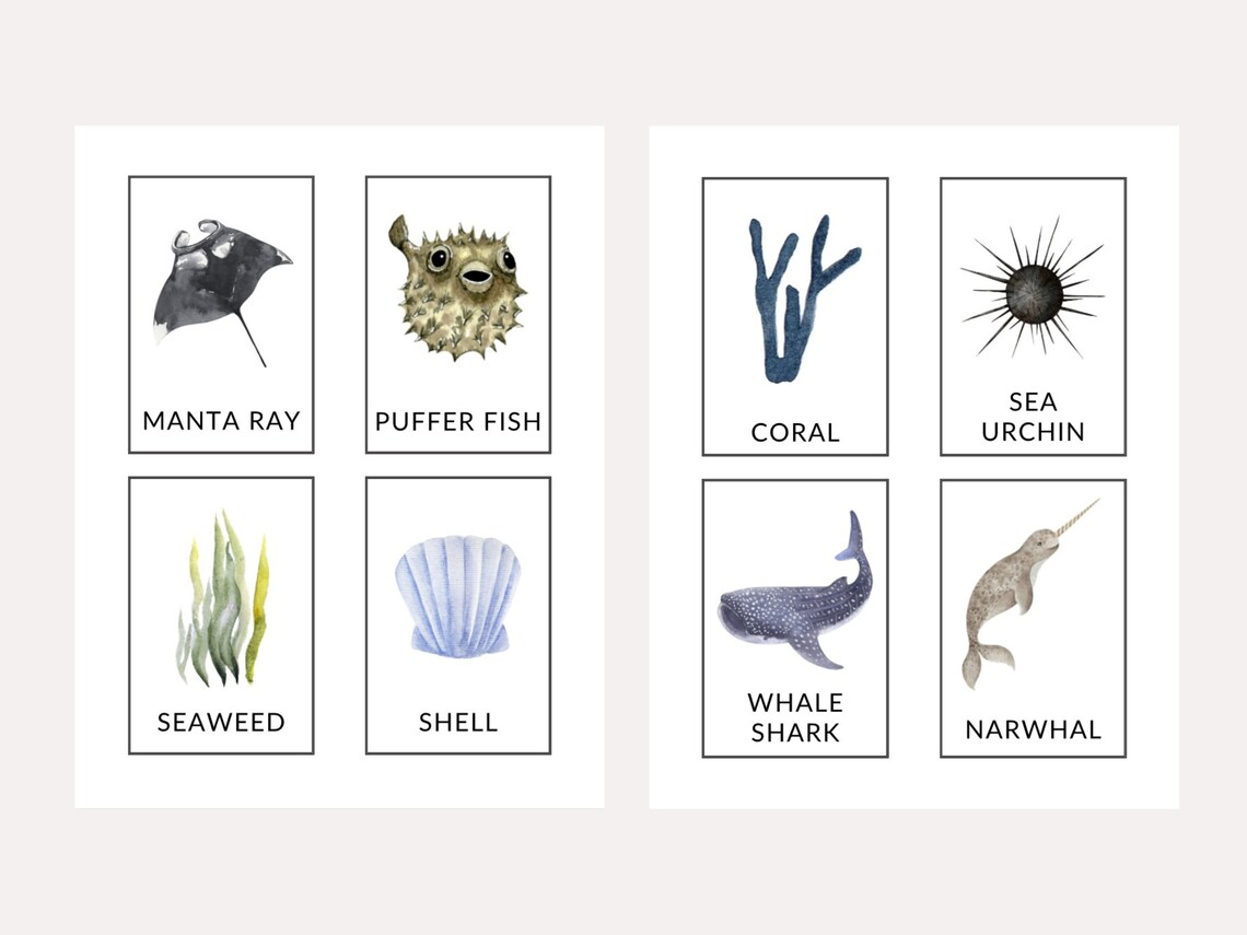 Sea Animal Flash Cards Printable Educational Cards, Montessori Cards ...