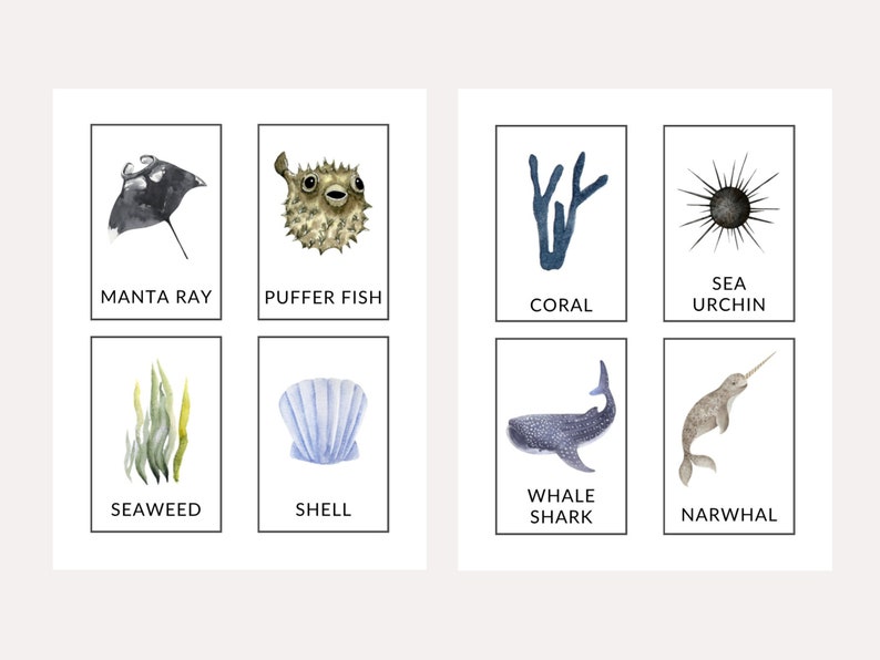 Sea Animal Flash Cards | Printable Educational Cards | DIGITAL DOWNLOAD ...