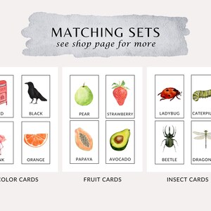 Color Flash Cards | Printable Educational Cards, Montessori Cards, Pre ...