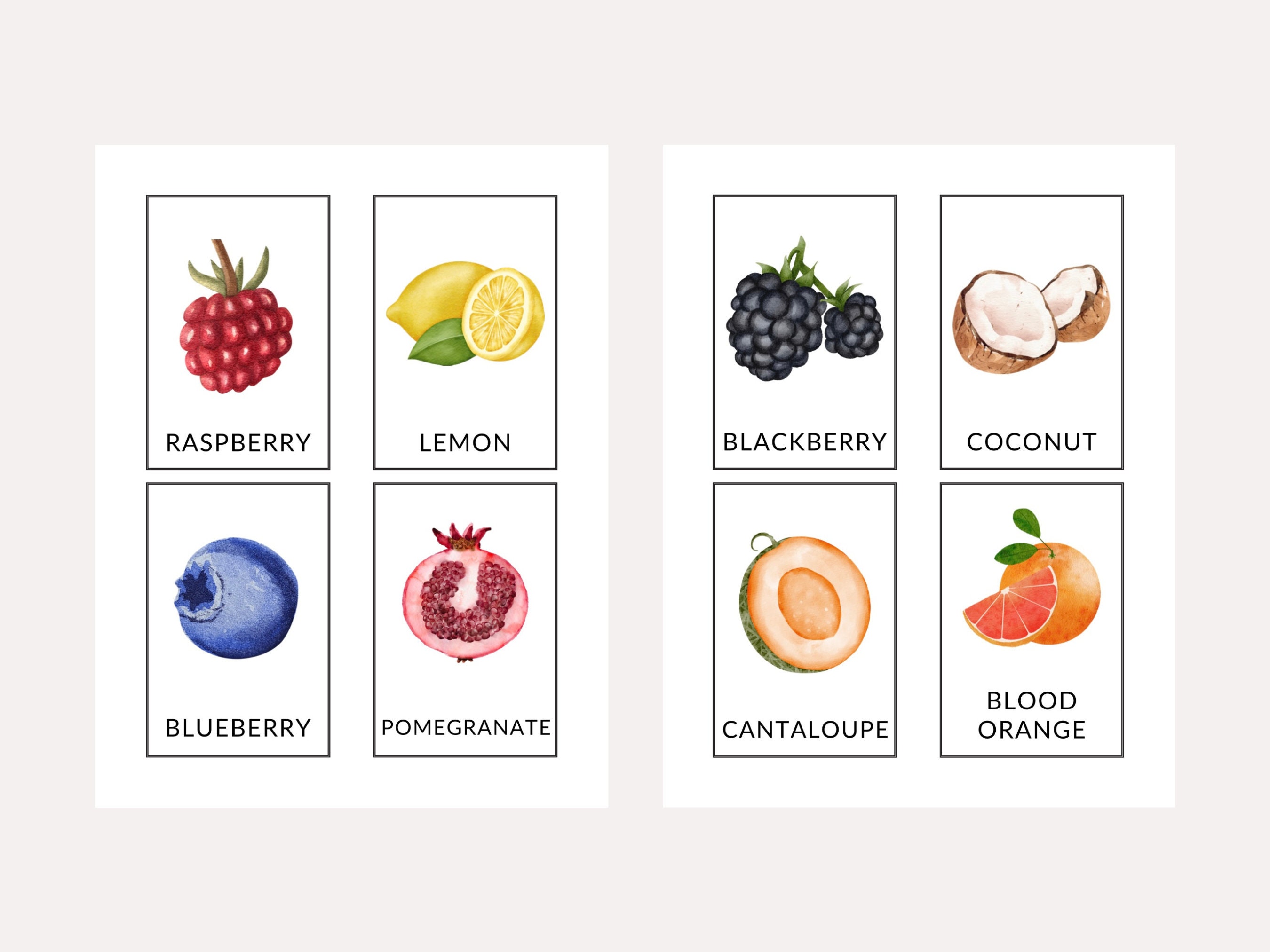 Fruit Flash Cards | Printable Educational Cards | DIGITAL DOWNLOAD - Etsy