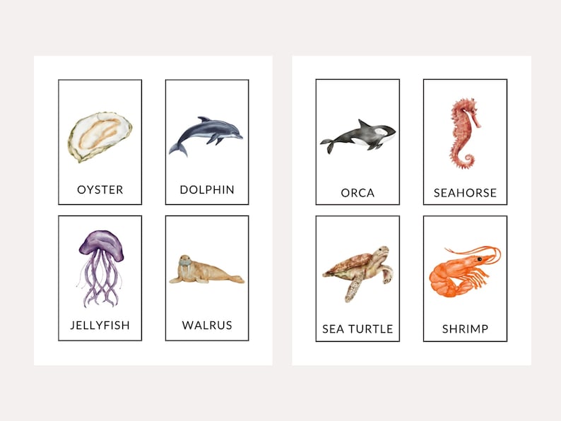 Sea Animal Flash Cards | Printable Educational Cards | DIGITAL DOWNLOAD ...