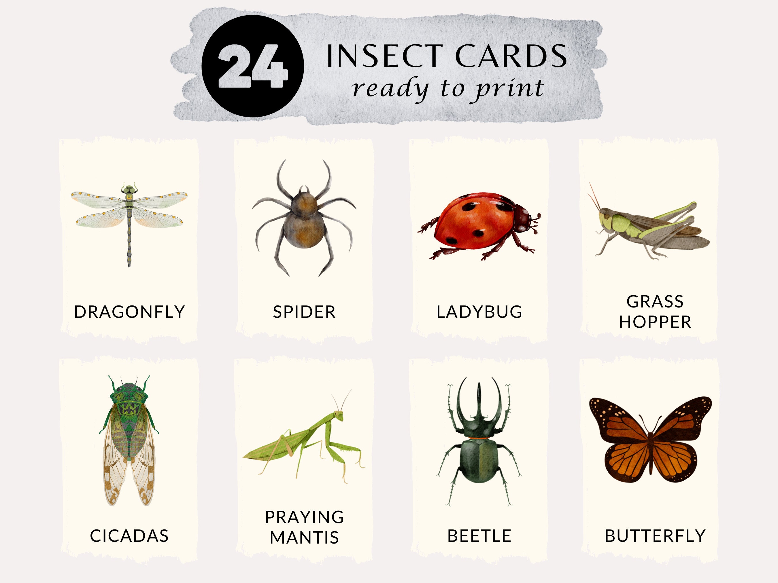 Insects Flash Cards | Printable Educational Cards, Montessori Cards ...