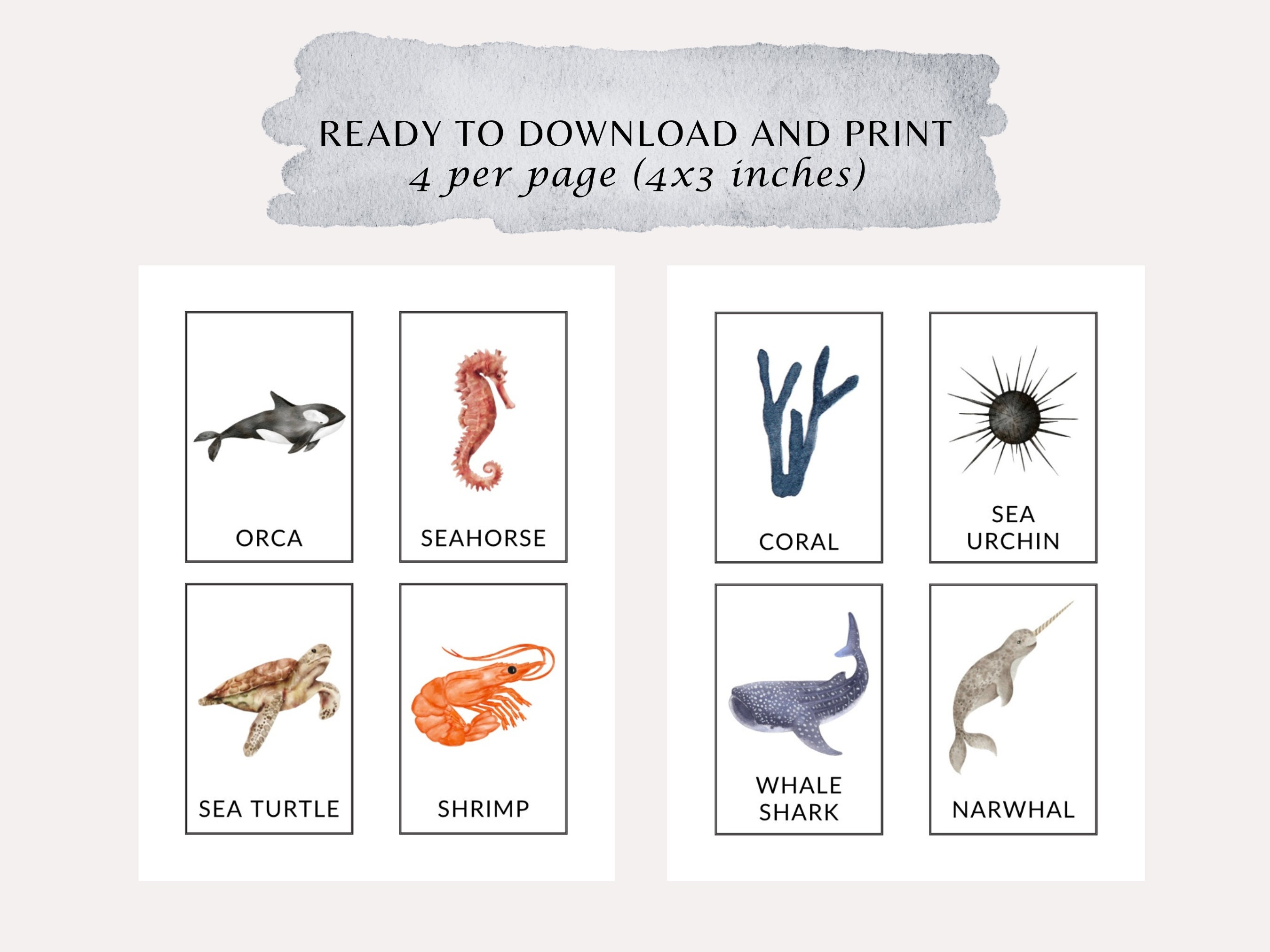 Sea Animal Flash Cards | Printable Educational Cards | DIGITAL DOWNLOAD ...