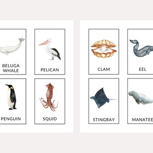 Sea Animal Flash Cards | Printable Educational Cards | DIGITAL DOWNLOAD ...