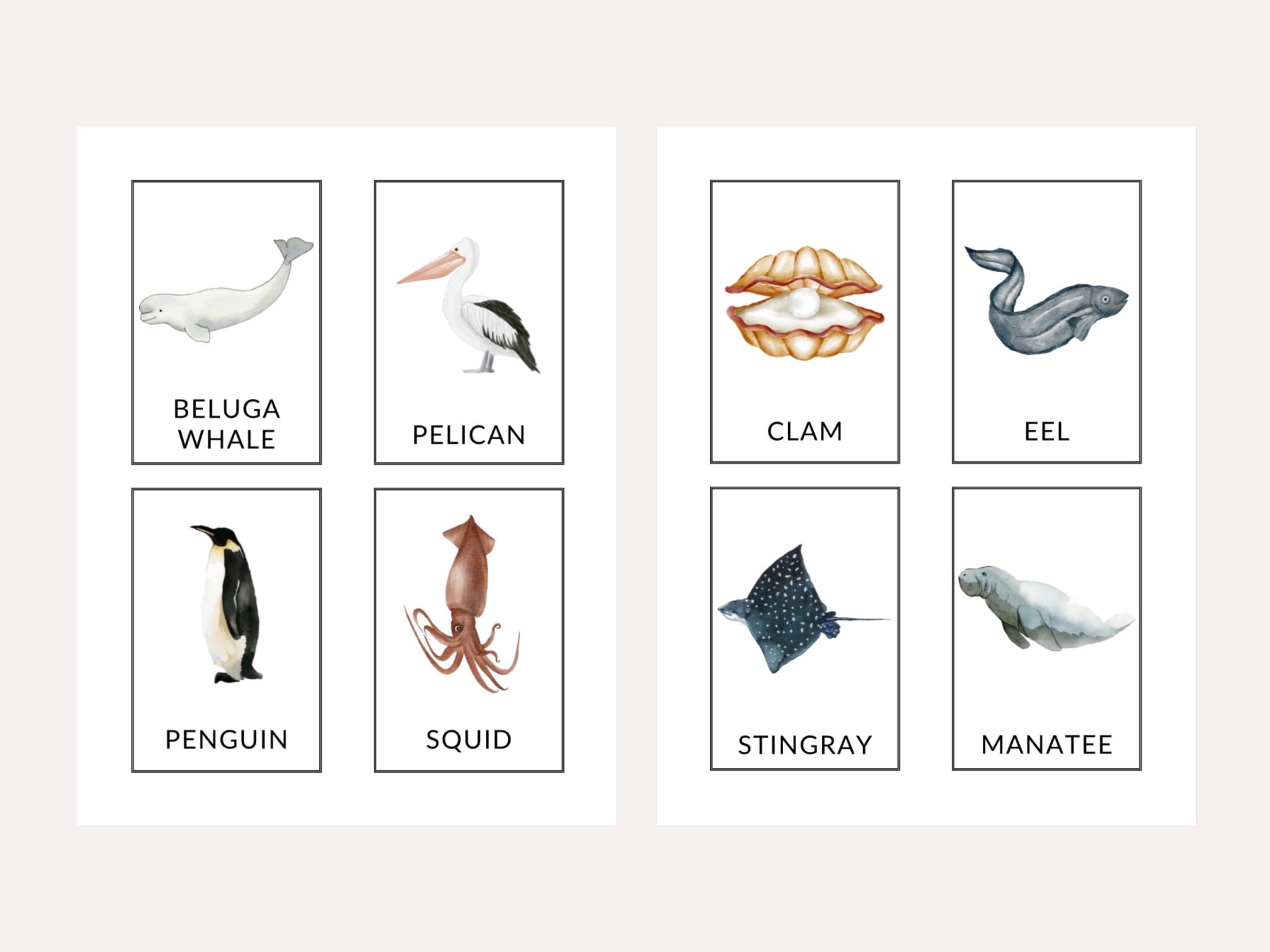 Sea Animal Flash Cards | Printable Educational Cards | DIGITAL DOWNLOAD ...