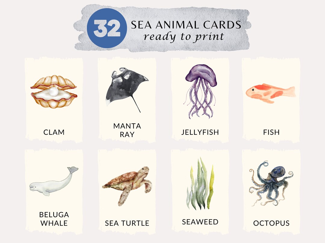 Sea Animal Flash Cards | Printable Educational Cards | DIGITAL DOWNLOAD ...
