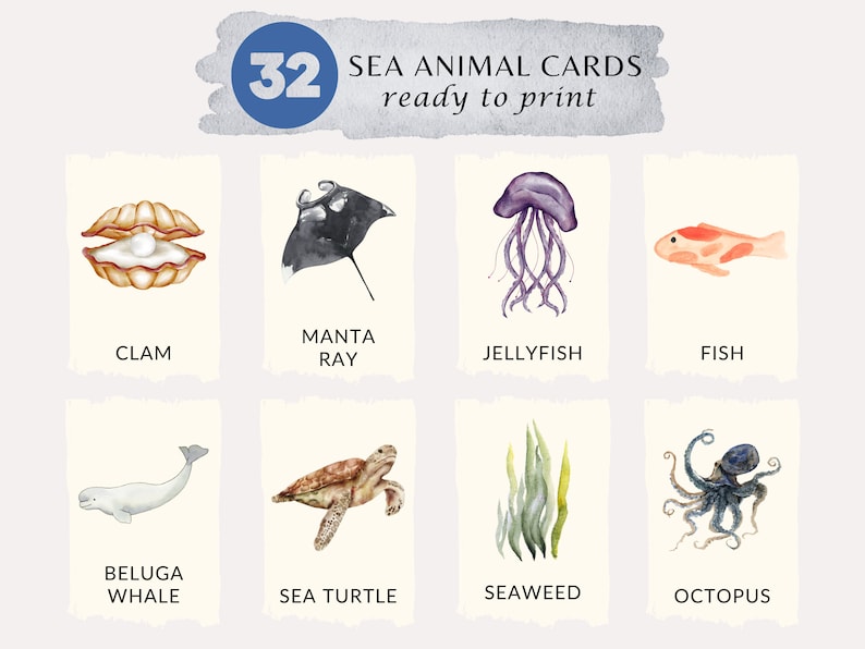 Sea Animal Flash Cards | Printable Educational Cards | DIGITAL DOWNLOAD ...