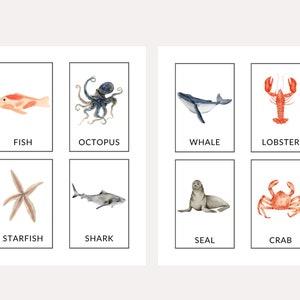 Sea Animal Flash Cards | Printable Educational Cards | DIGITAL DOWNLOAD ...
