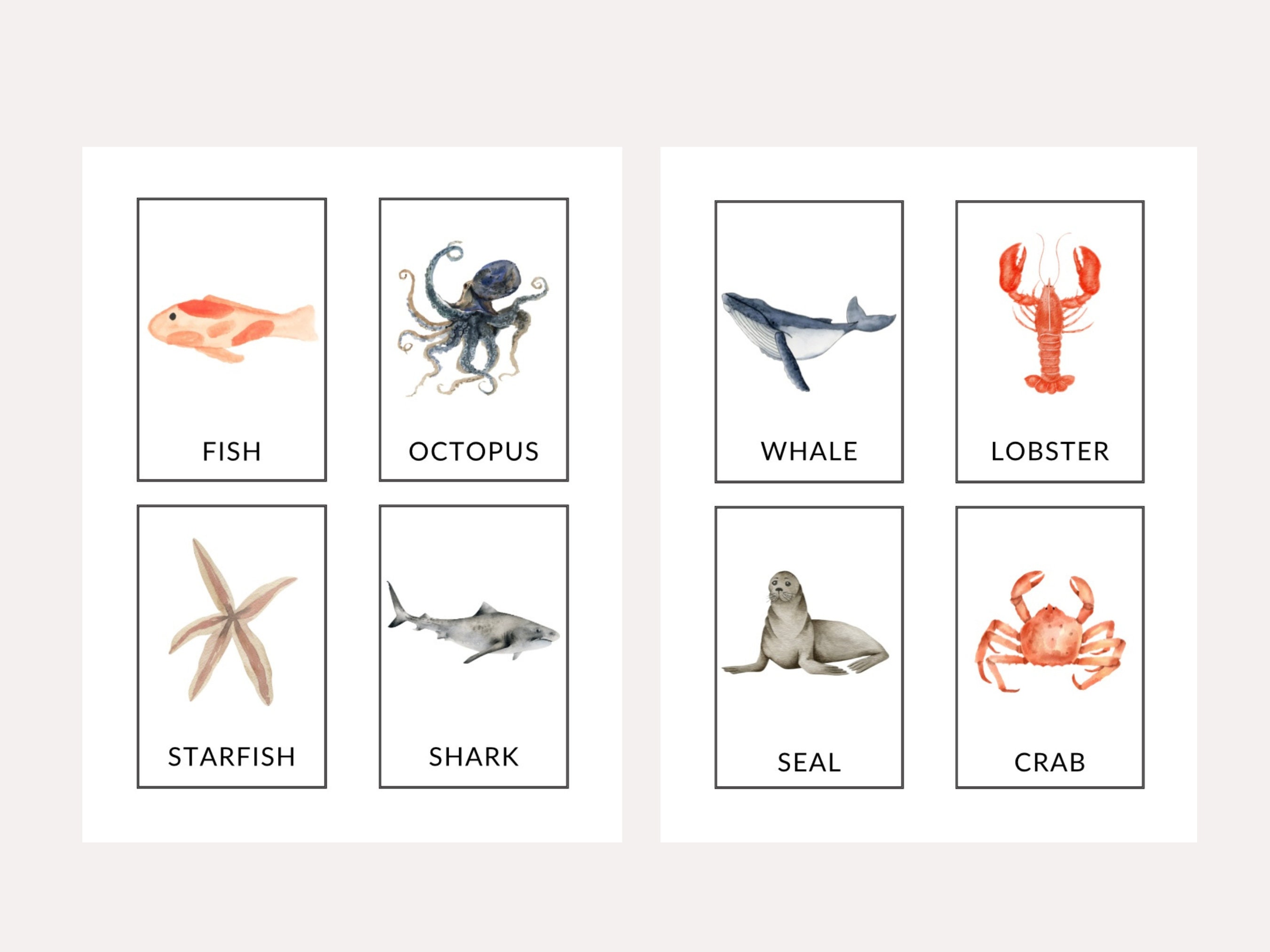 Sea Animal Flash Cards | Printable Educational Cards | DIGITAL DOWNLOAD ...