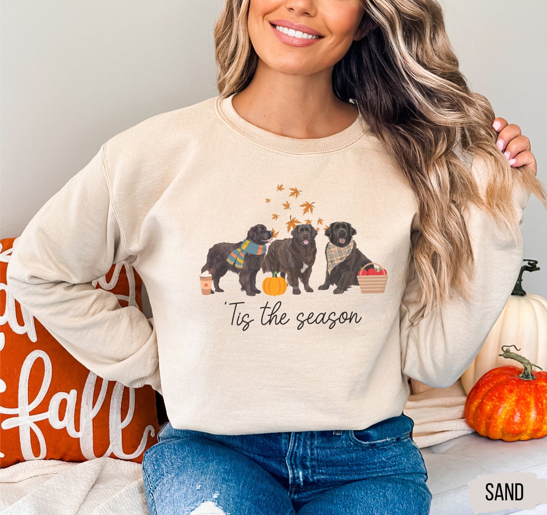 Newfoundland Dog Fall Sweatshirt, Newfoundland Dog Sweatshirt ...