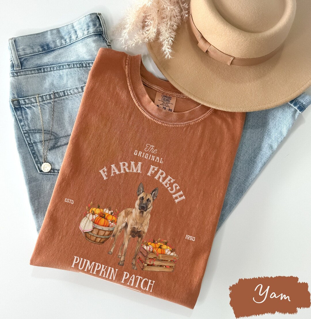 Belgian Malinois Pumpkin Patch Shirt, Pumpkin Patch Shirt, Belgian Malinois Shirt, Belgian ...