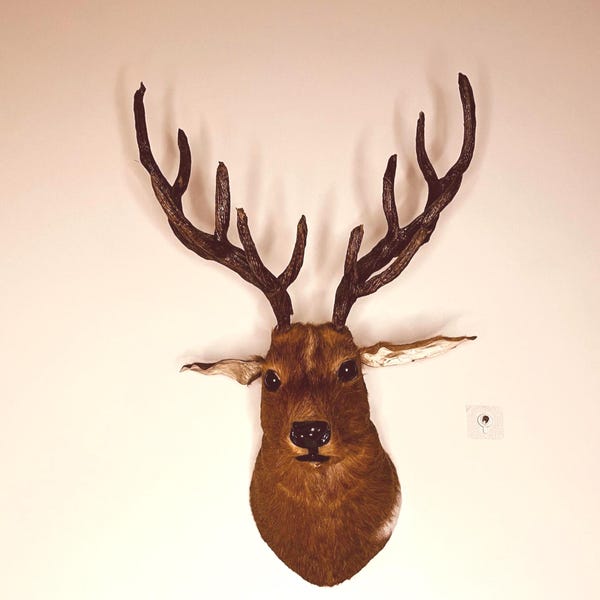 Fake Deer Head - Etsy